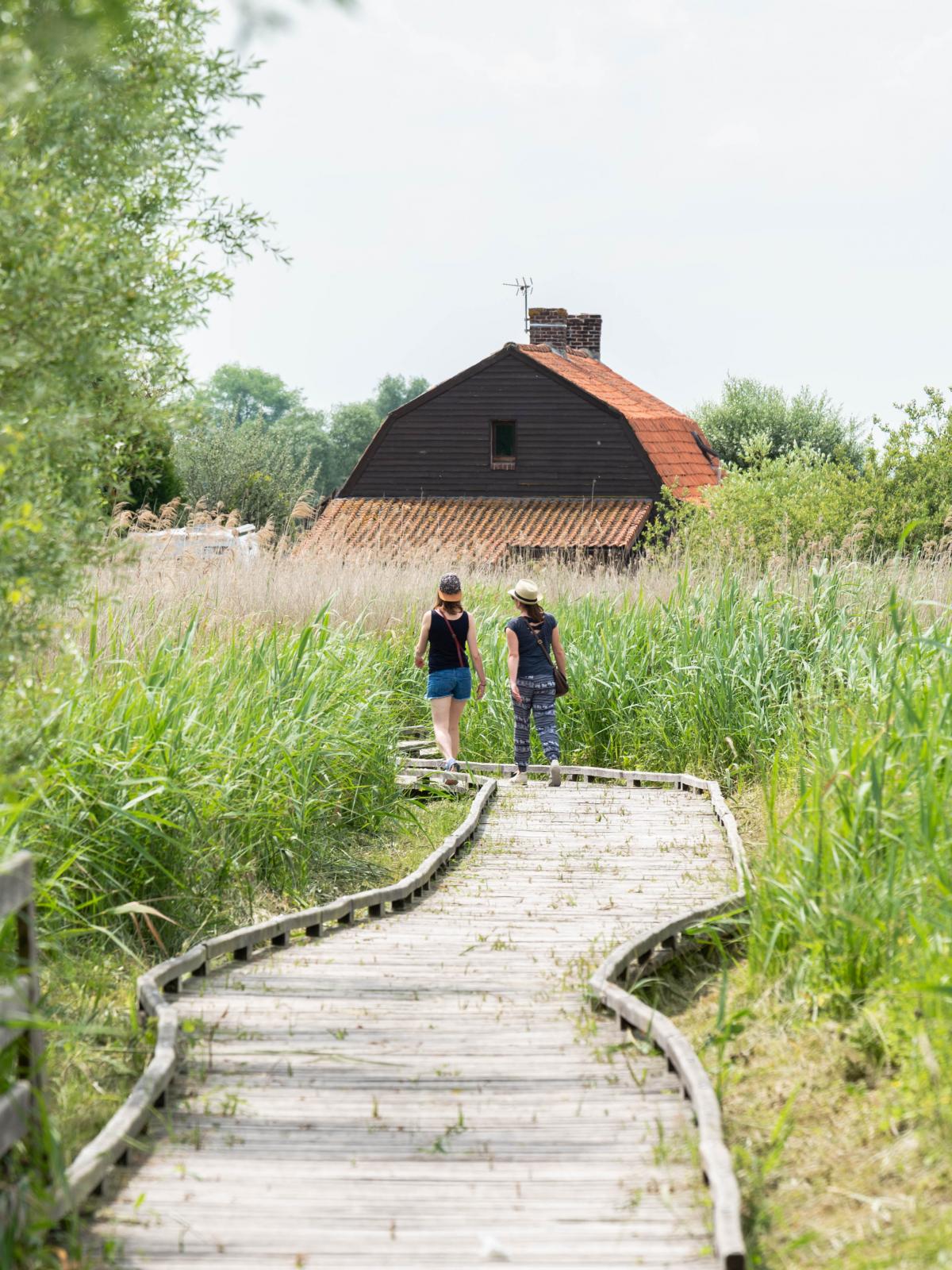 L’histoire du marais Audomarois | Office de Tourisme du Pays de Saint-Omer