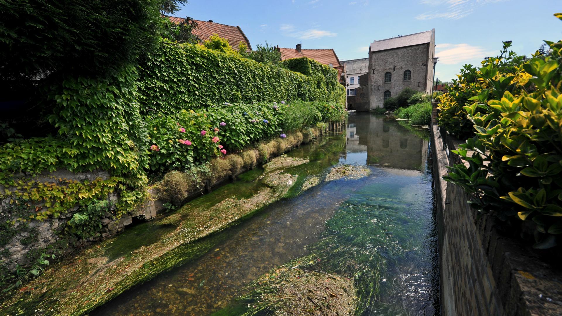 Des chemins fabuleux | Office de Tourisme du Pays de Saint-Omer