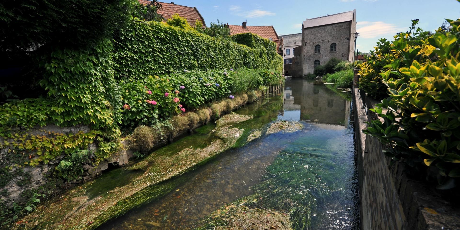 Promenade bucolique entre vallée et prairie à Fauquembergues | Office de Tourisme du Pays de ...